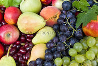                                  Fast Sea Freight Fresh Fruit From Myanmar to China Shenzhen Cold Chain             