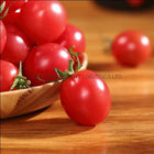                                  Reliable Shipping From Singapore to China Cold Chain Vegetables Fresh Fruit             