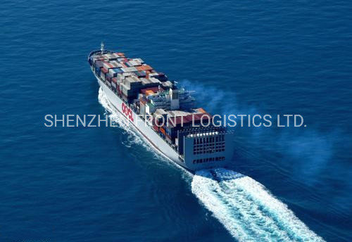                                  Professional Reliable China Freight Forwarder to Australia/Canada/USA             
